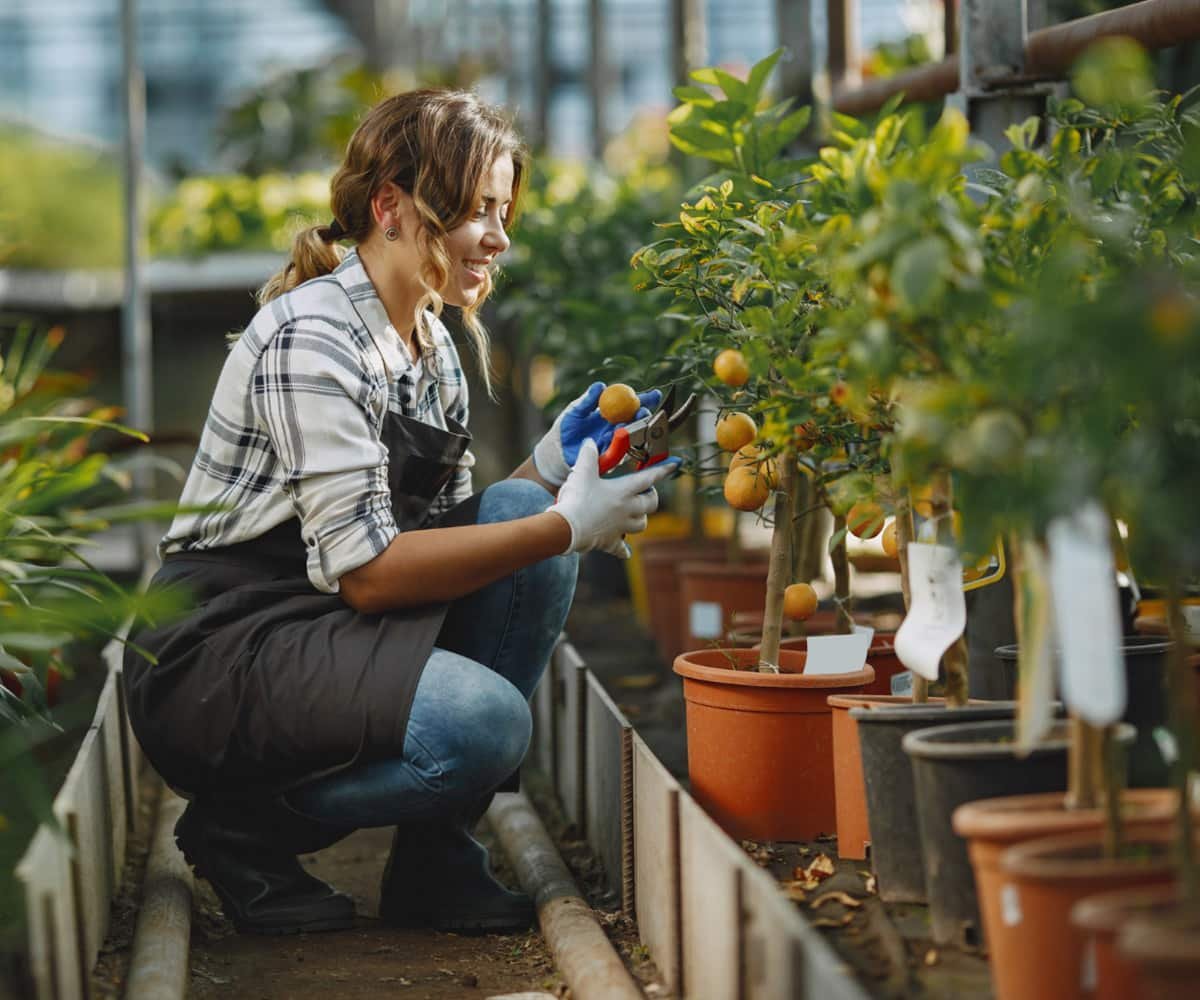 Fertilizers & Pesticides - Kishanmal Foods